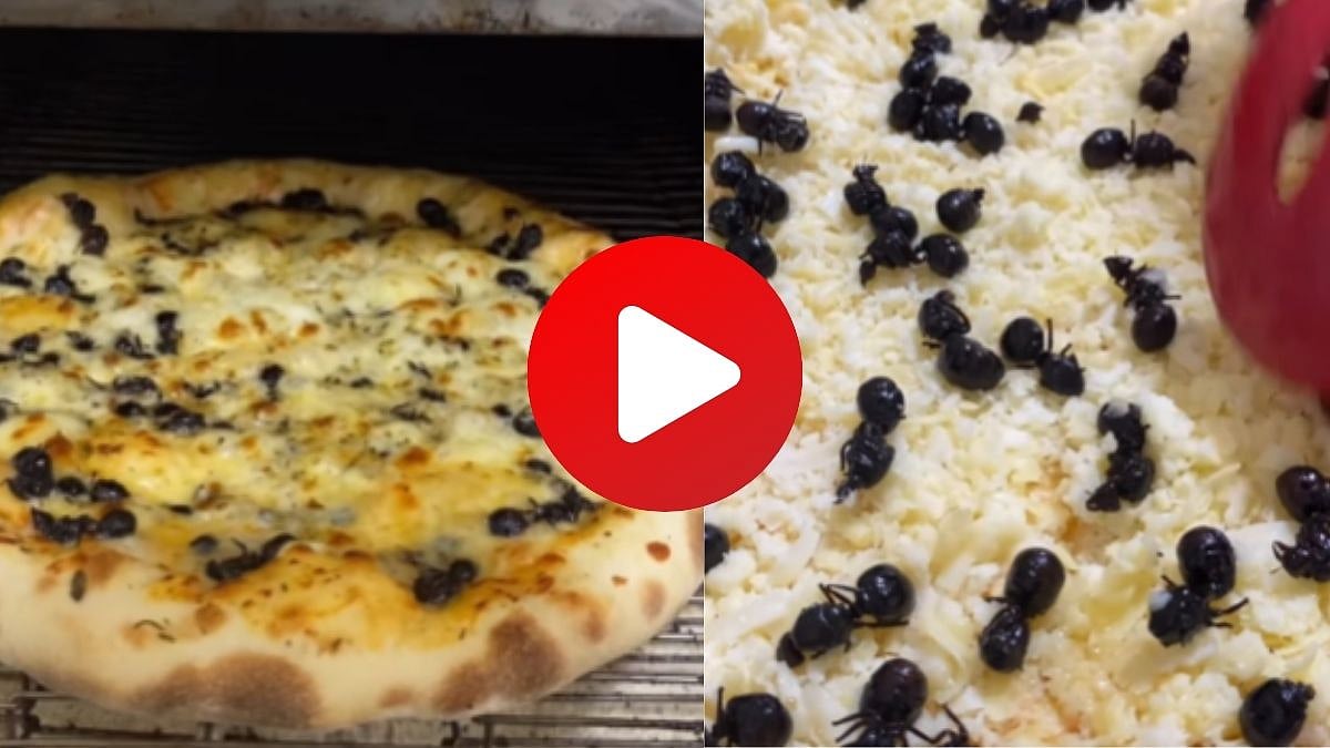 Black Ant Pizza : काळ्या मुंगळ्यांचा पिझ्झा तुम्ही कधी खाल्लाय का ...