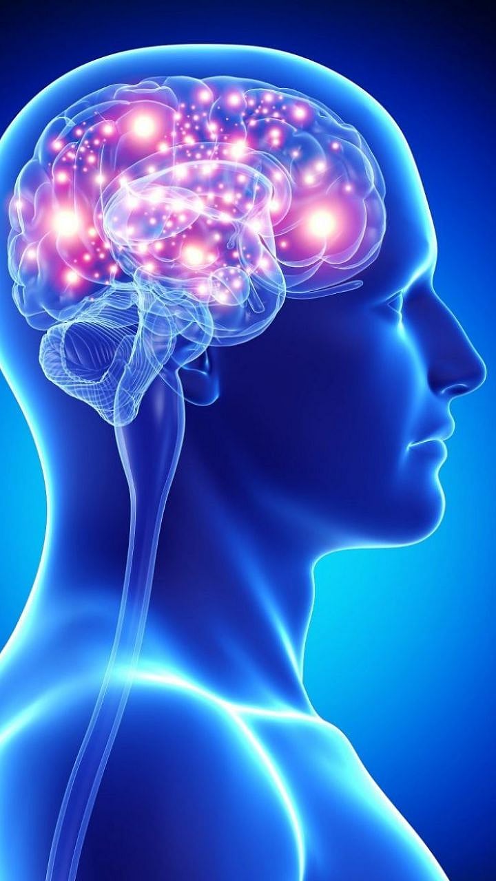 Mind Sharp करण्यासाठी काय केले पाहिजे? - What should be done to make ...