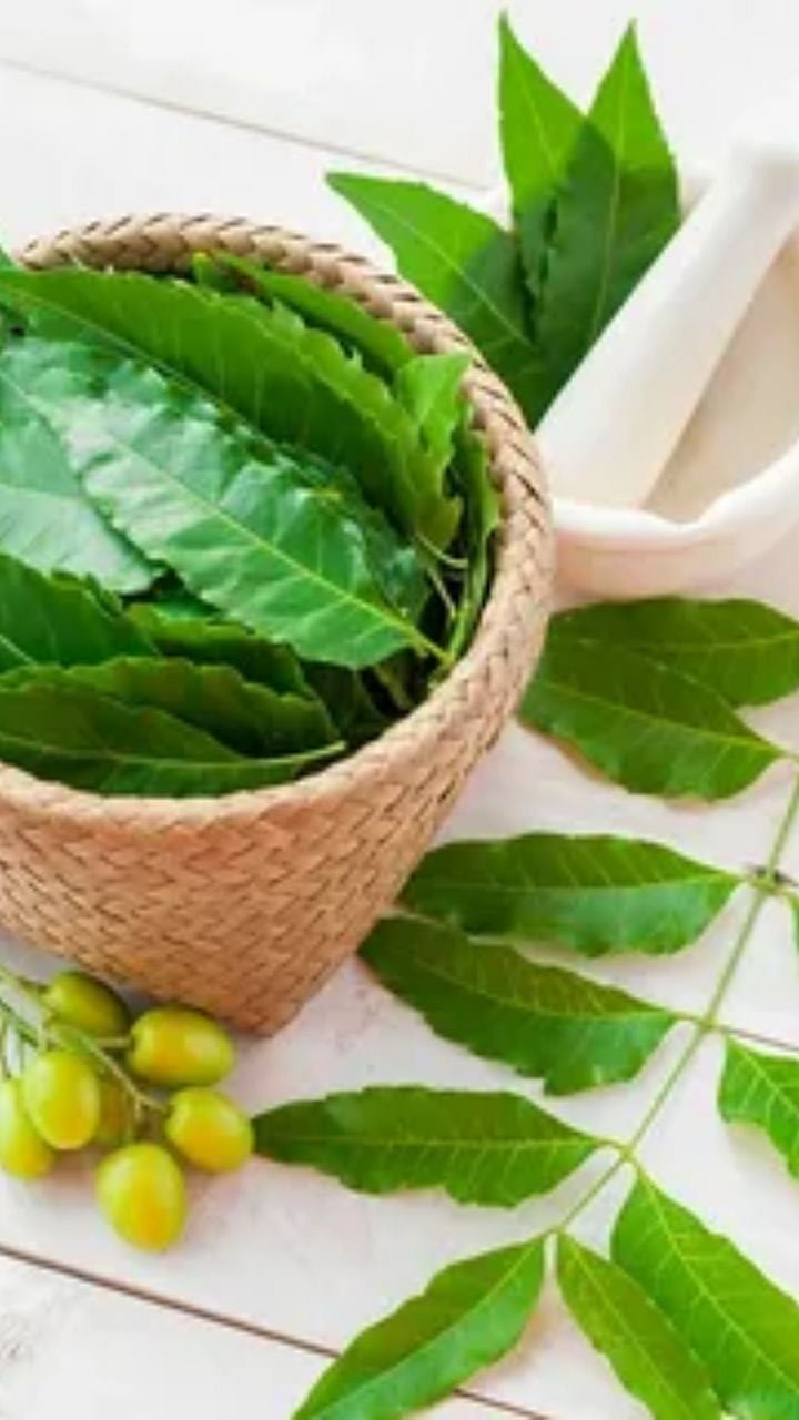 Neem Benefits: आरोग्यासाठी गुणकारी कडुलिंब, फायदे वाचा