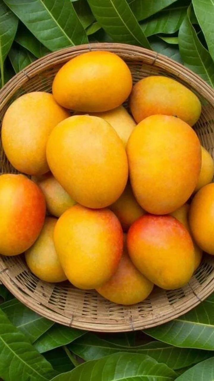 Hapus Mango: 'कोकणचा राजा' हापूस आंबा कसा ओळखायचा?