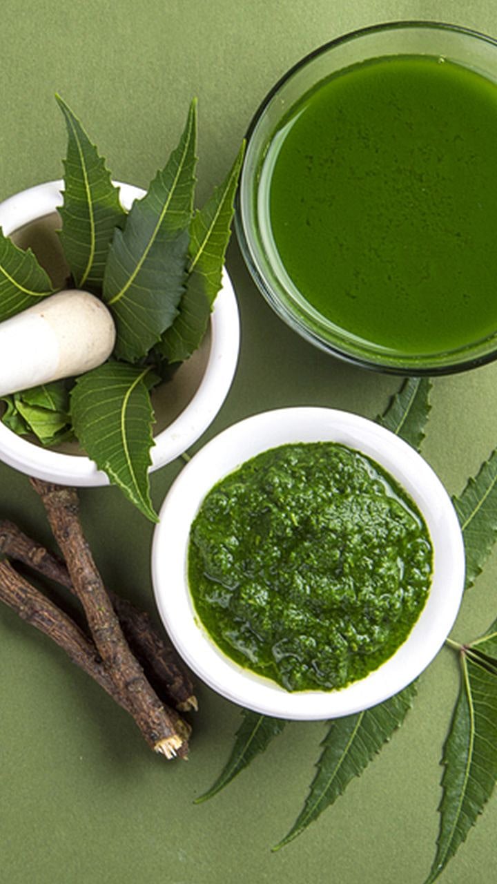 Neem Leaves Benefits: उपाशी पोटी खा कडुलिबांची पाने, आरोग्याला होतील ...
