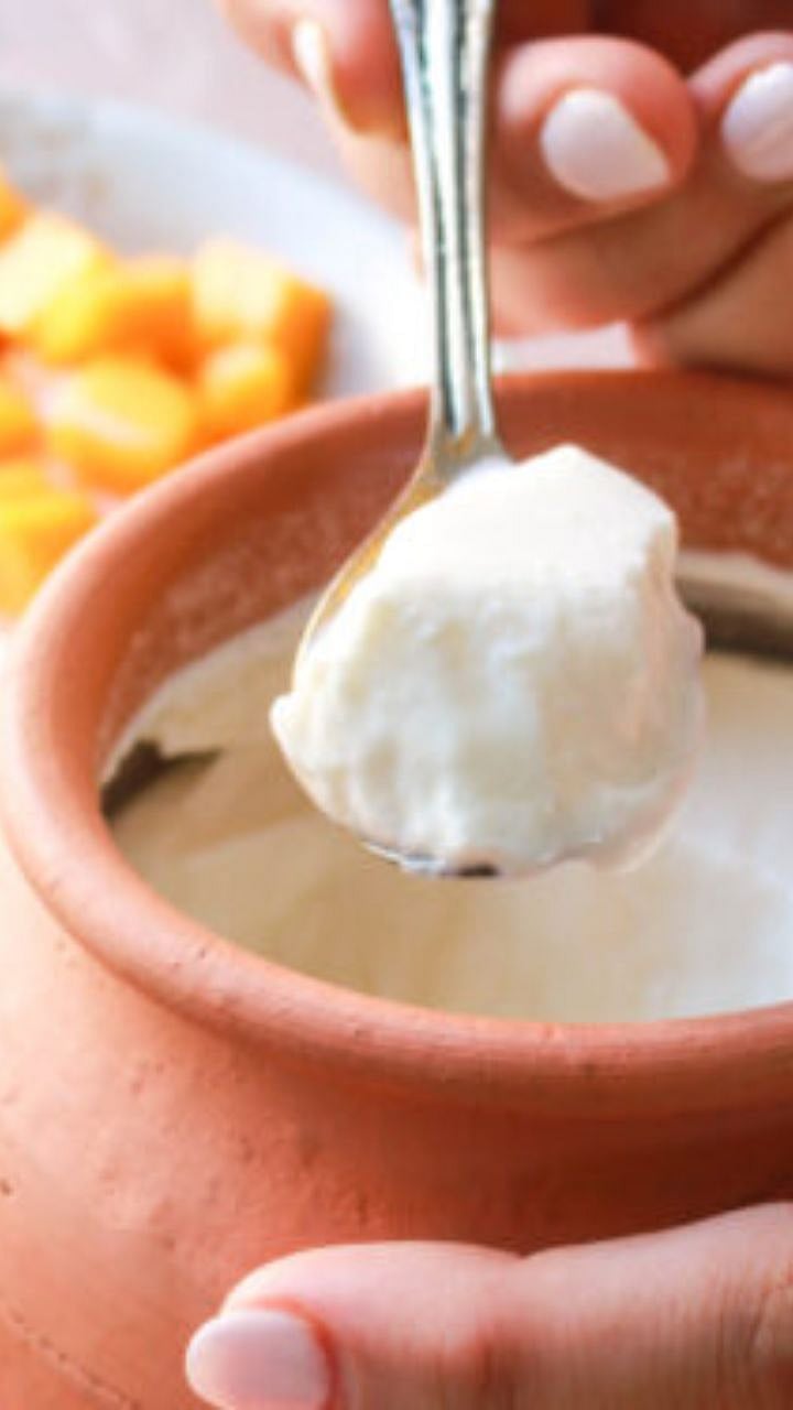 Curd Making: घरच्या घरी सोप्या पद्धतनं बनवा घट्ट दही; जाणून घ्या Recipe ...