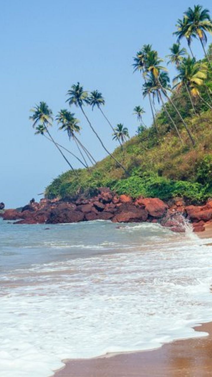 |goa trip do these things in goa paradliding snorkiling scuba diving ...