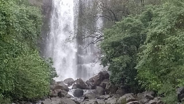 Dhangar Waterfalls : मनसोक्त भिजा! बदलापूरमधील हा धबधबा आतापर्यंत ...