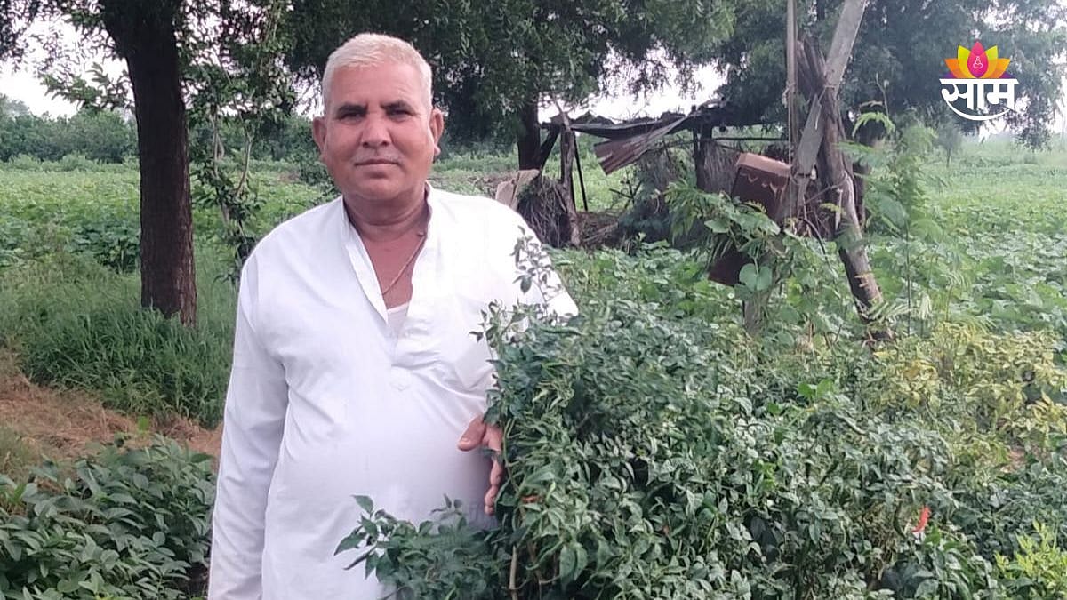 Jalna News: महावितरणाच्या हलगर्जीपणाचा बळी! शेतात पडलेल्या विद्युत ...