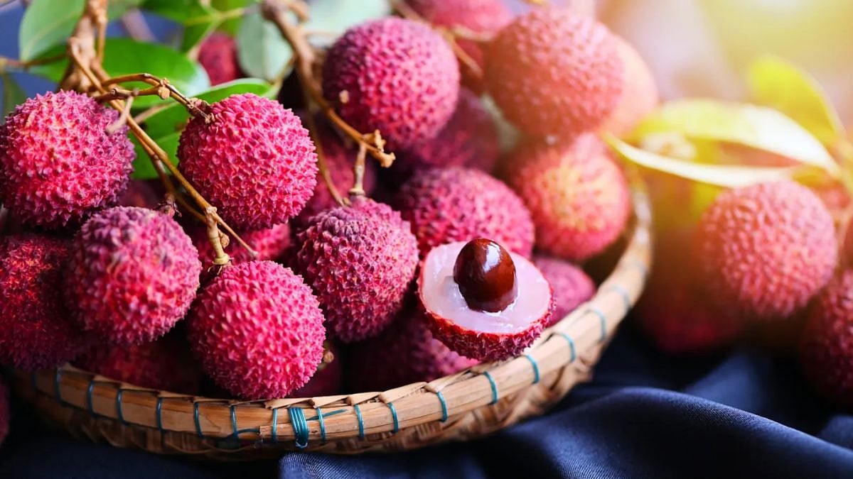 गोड रसरशीत लिची फायदे | Lychee Che Fayde | Lychee Benefits in Marathi ...