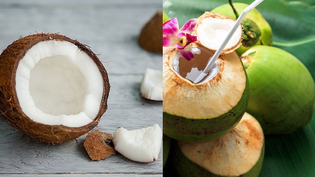 Raw vs Dry Coconut : नारळ की शहाळं आरोग्यासाठी उत्तम आणि जास्त उपयोगी ...