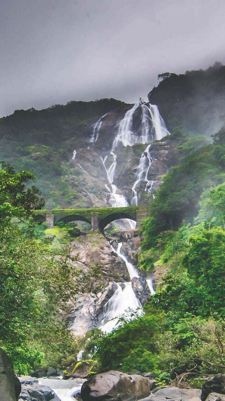 Monsoon Waterfall Travel : पावसात एक दिवसाची ट्रिप प्लान करताय ...