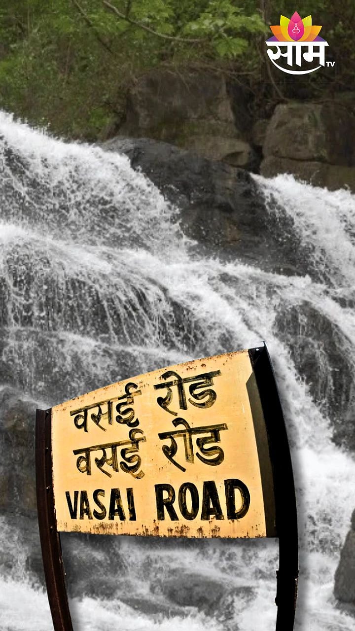 Monsoon Travel : मित्रांसह चिंचोटी धबधब्याला भेट द्या; अन् मनसोक्त भिजा ...