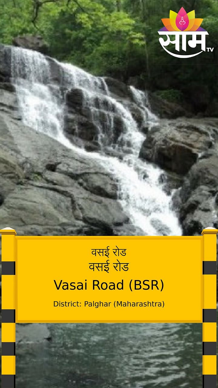 Chinchoti Waterfall: वसईच्या घनदाट जंगलात वाहतोय पांढराशुभ्र धबधबा ...