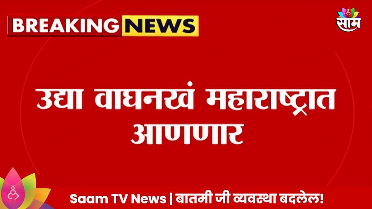 Video: बहुप्रतिक्षित वाघनखं उद्या महाराष्ट्रात होणार दाखल