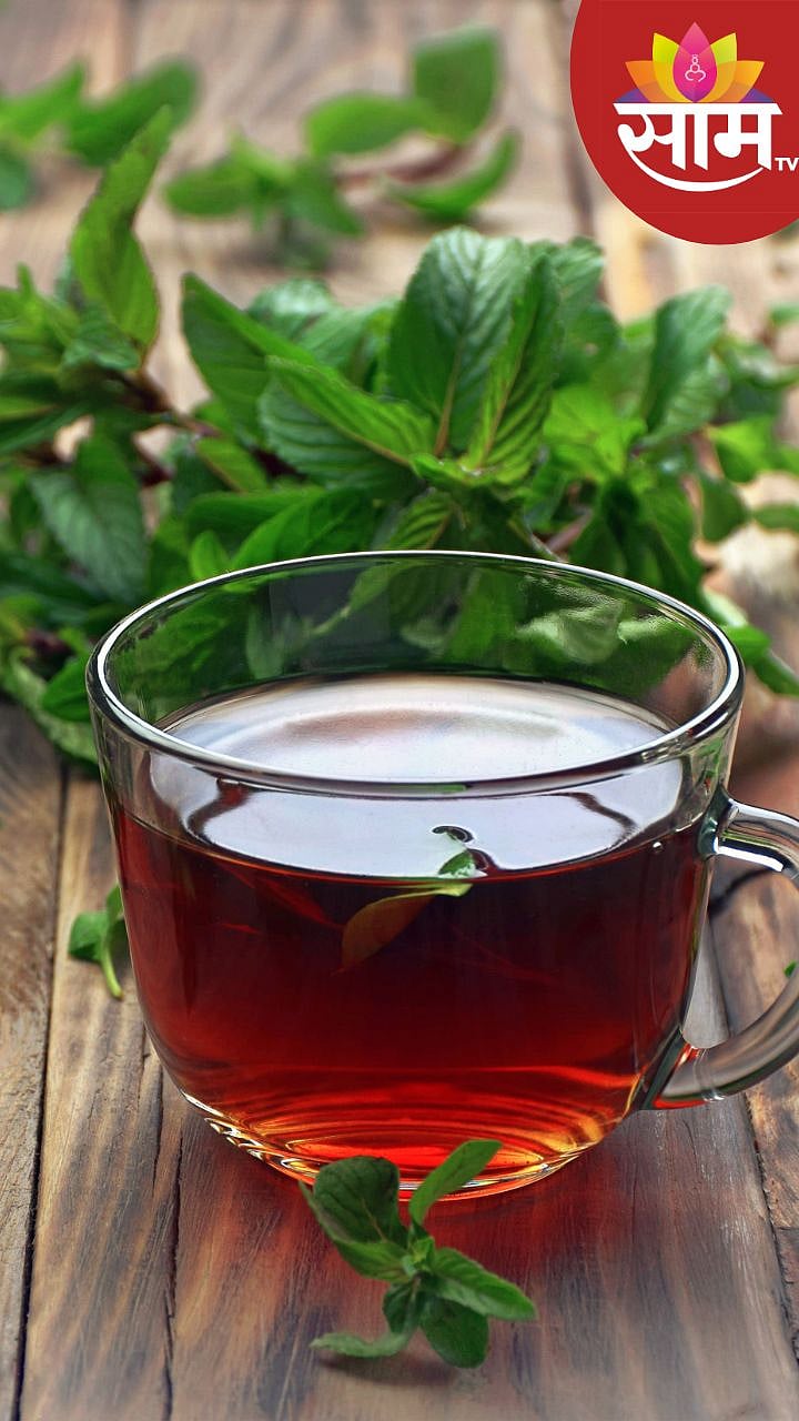 Tulsi Tea: आरोग्याच्या अनेक समस्या दूर करेल तुळशीचा चहा, जाणून घ्या कधी ...