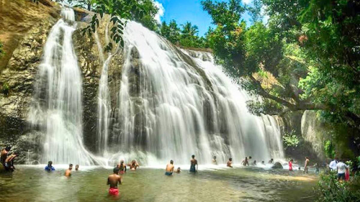 Anayadikuthu Waterfalls : डोळ्यांचं पारणं फेडणारा अनायादिकुथु धबधबा ...
