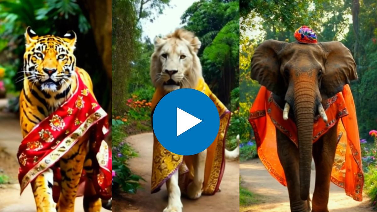 Animal Fashion Show: वाघ आणि सिंहाने साडी नेसून केला रॅम्पवॉक, जगातील ...