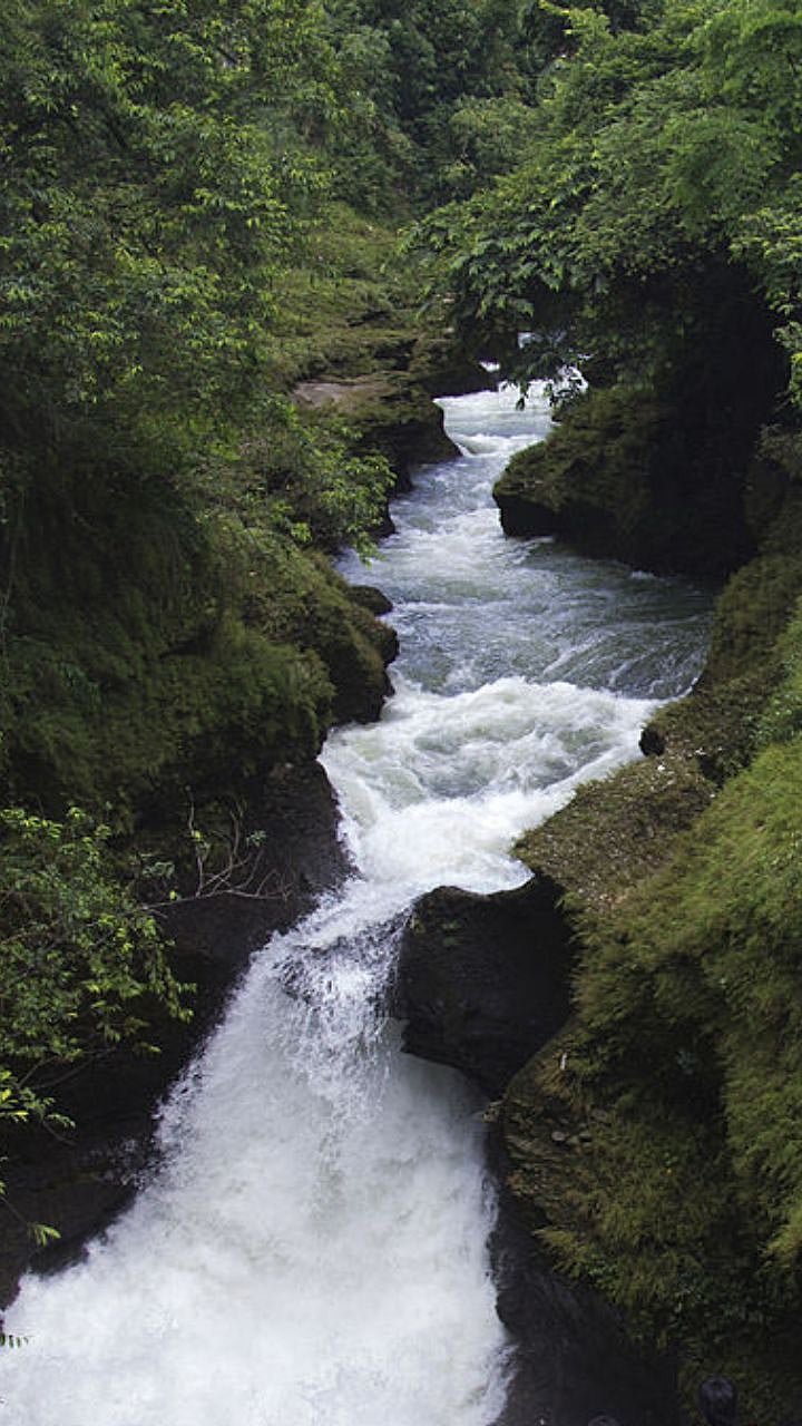 Dhule : धुक्यांची चादर अन् पांढराशुभ्र धबधबा, धुळ्यात लपलाय निसर्गाचा ...