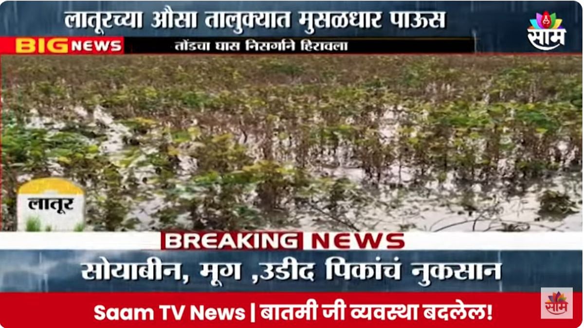 Latur News : बळीराजावर आसमानी संकट ! | heavy rainfall in latur district ...