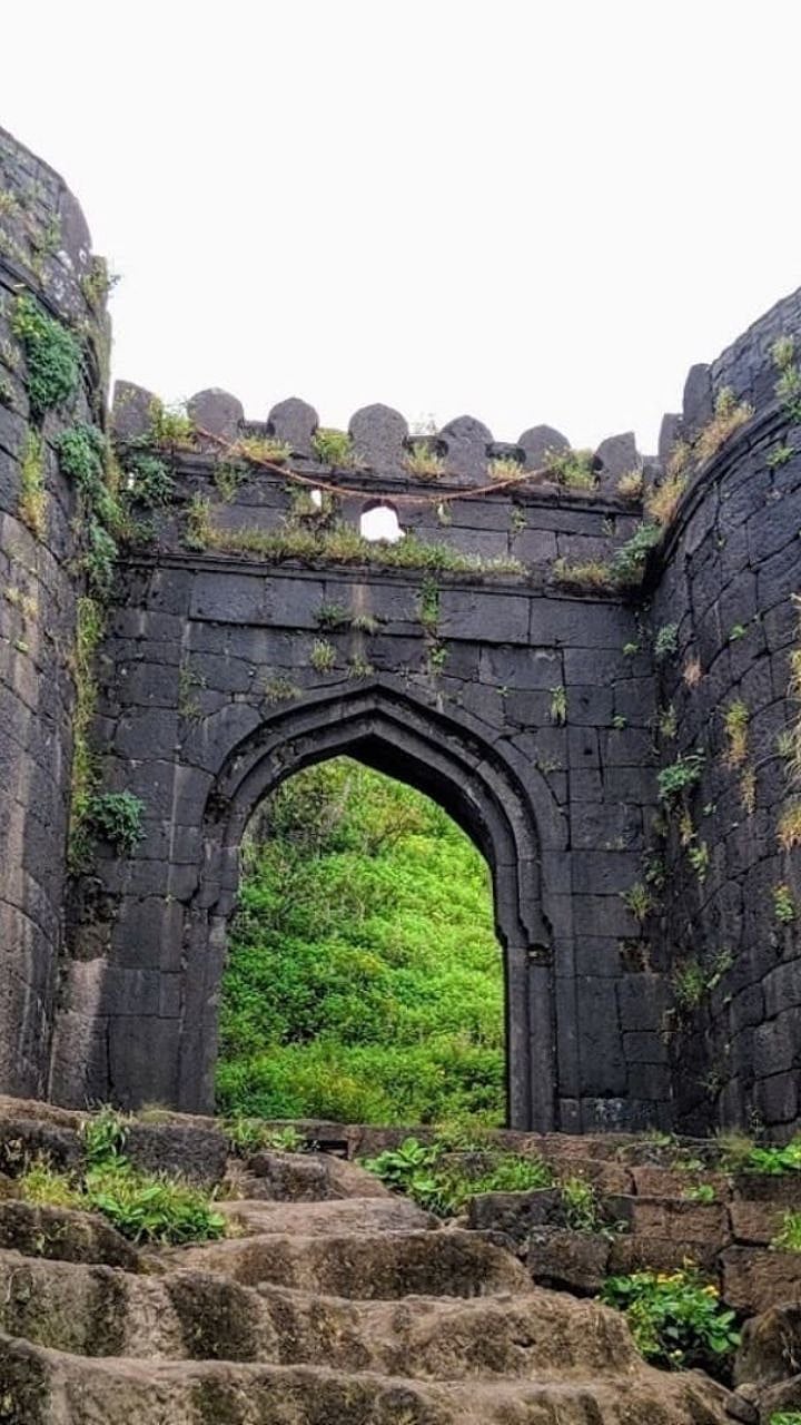 Rajgad Fort : इतिहासाची उजळणी करायचीय? फक्त 'या' ठिकाणाला द्या भेट ...