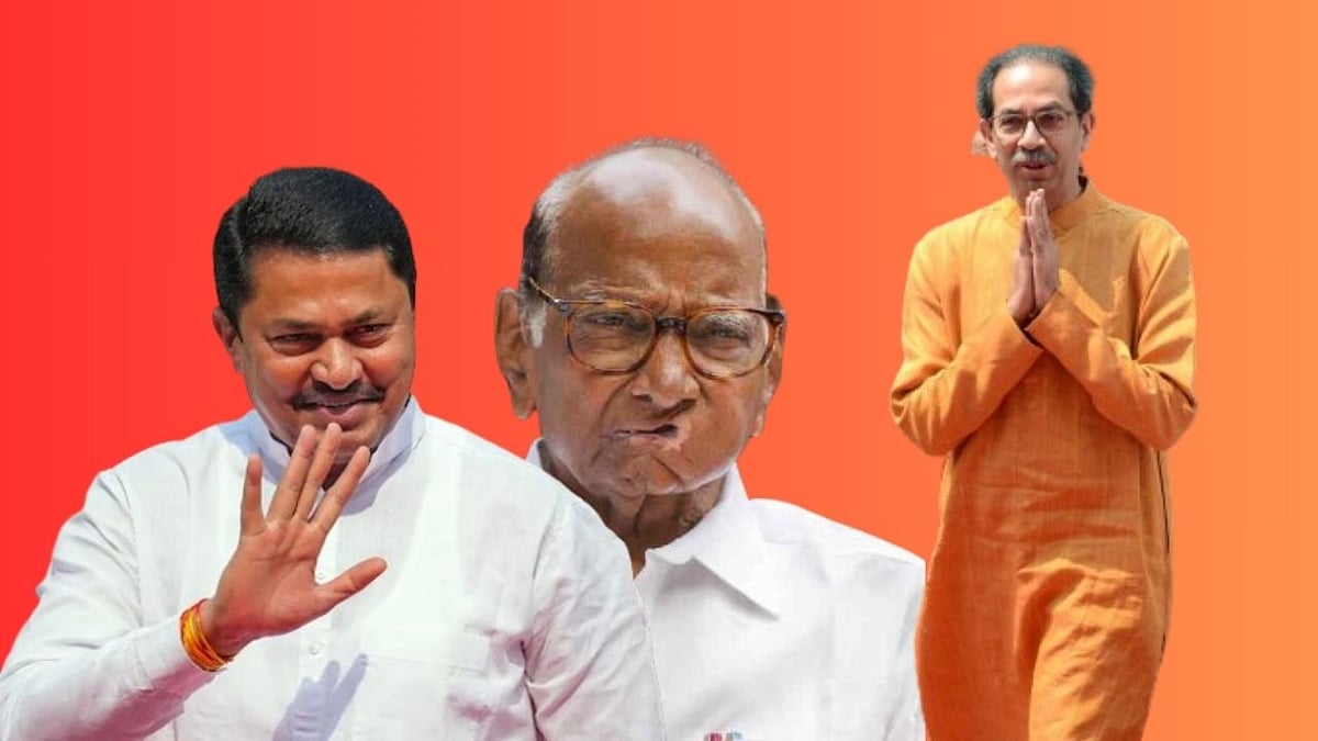 पुण्यात मविआची डोकेदुखी वाढली, ठाकरेंच्या शिलेदाराने पवारांविरोधात दंड ...