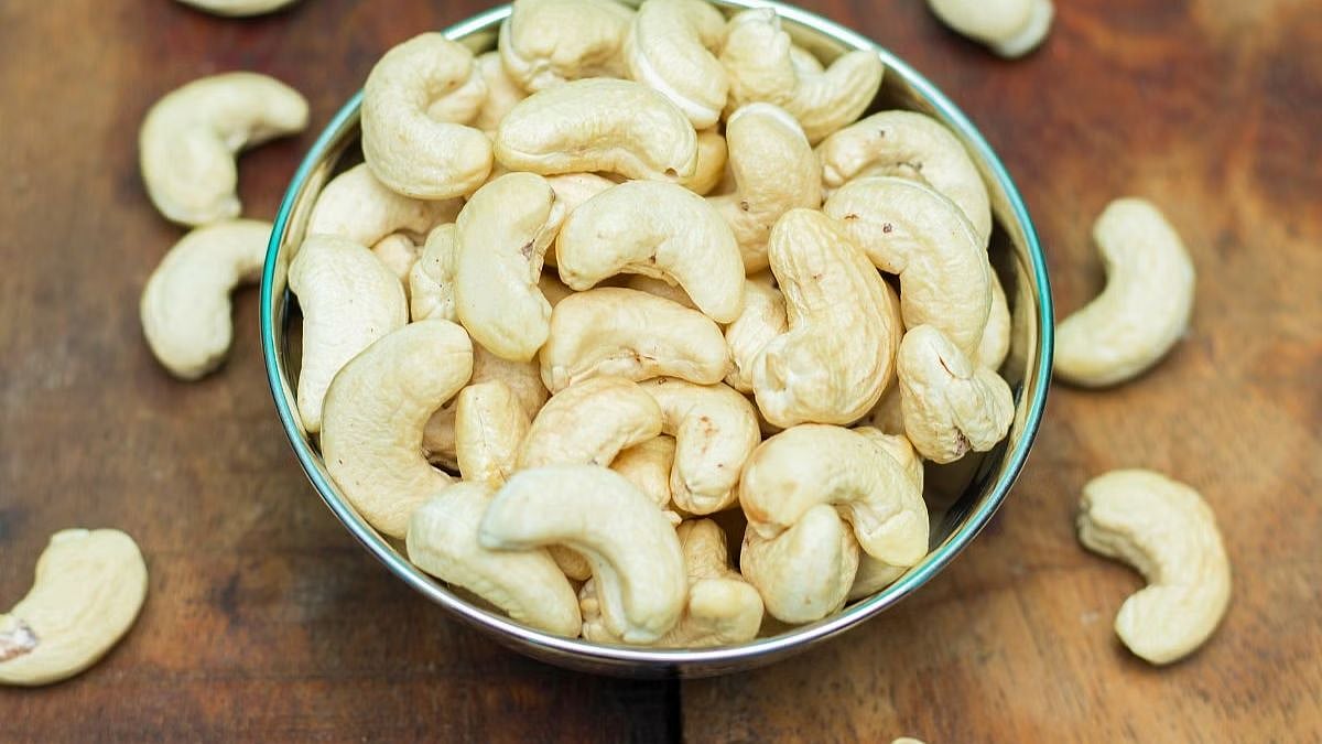 Real Cashews Fake Cashews : दिवाळीत भेसळयुक्त ड्रायफ्रूट्स खाल तर आजारी ...