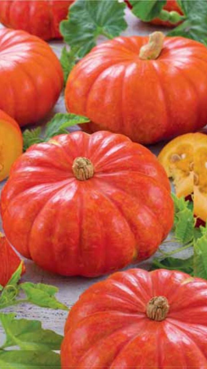 Red Pumpkin Benefits: लाल भोपळा खाण्याचे हे आश्चर्यकारक फायदे!|amazing ...