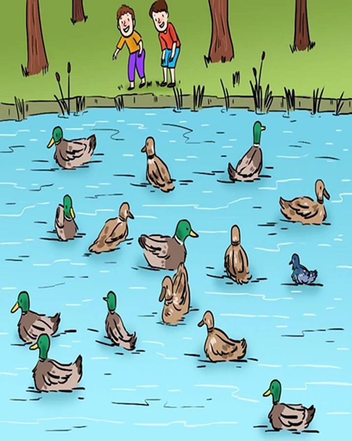 IQ Test: बदकांमध्ये लपलंय एक कबूतर; अवघ्या ५ सेकंदात शोधायचं तुम्हाला ...