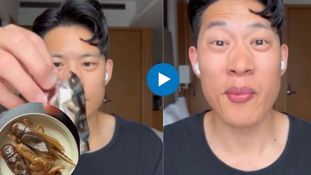 Viral Video: चिप्सप्रमाणे झुरळ खाणारा तरुण पाहिला का? VIDEO पाहून ...