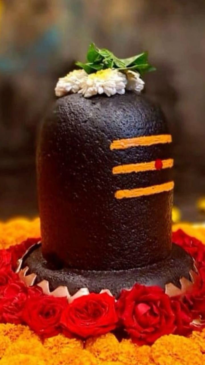 सोमवारी शिवलिंगावर 'या' ६ गोष्टी अर्पण करा, तुमच्या सर्व इच्छा पूर्ण ...