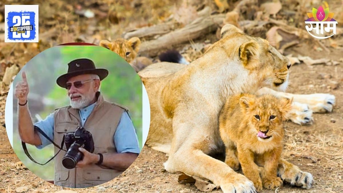 PM Modi Jungle Safari: हातात कॅमेरा, समोर सिंह; पंतप्रधानांची जागतिक ...