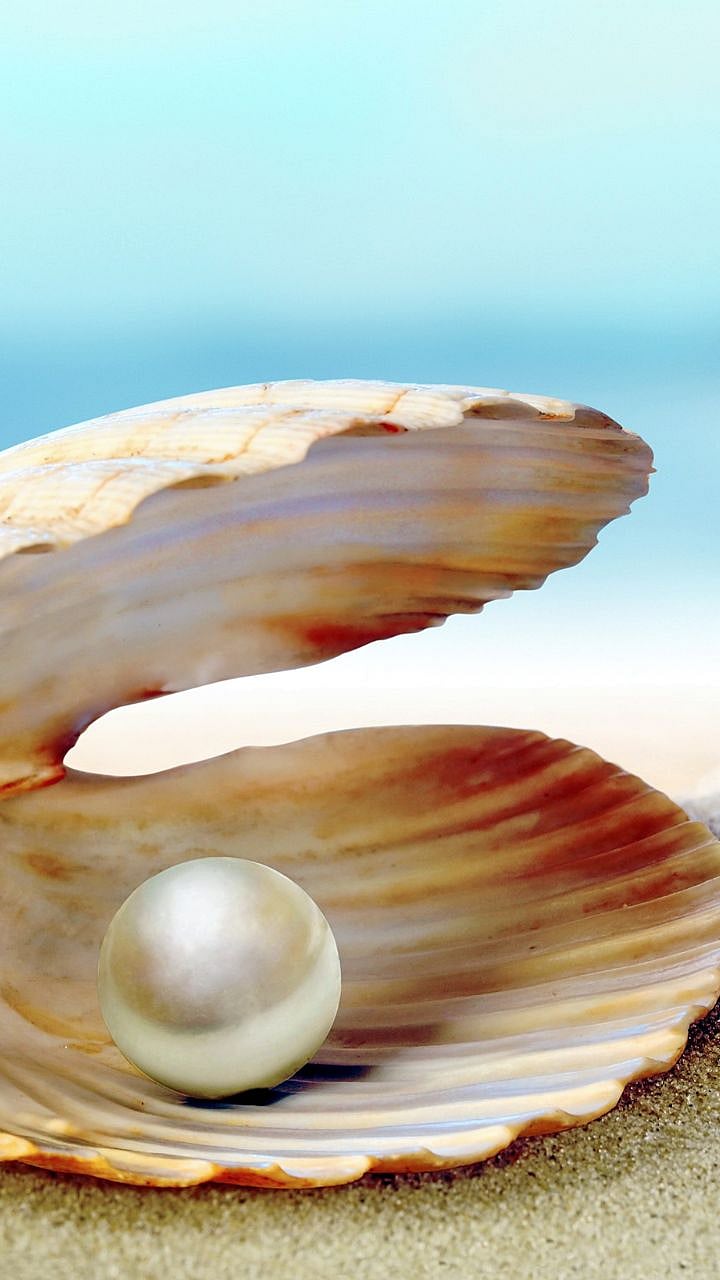 Pearl : खरे मोती कसे ओळखाल? 'अशी' करा दागिन्यांची खरेदी|top 10 tips for ...