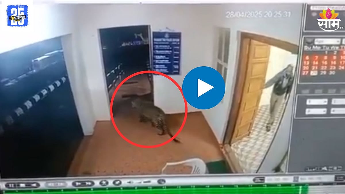Leopard Viral Video: पोलीस ठाण्यात बिबट्या घुसला; सगळ्या खोल्यांची घेतली झडती, पोलीस ...