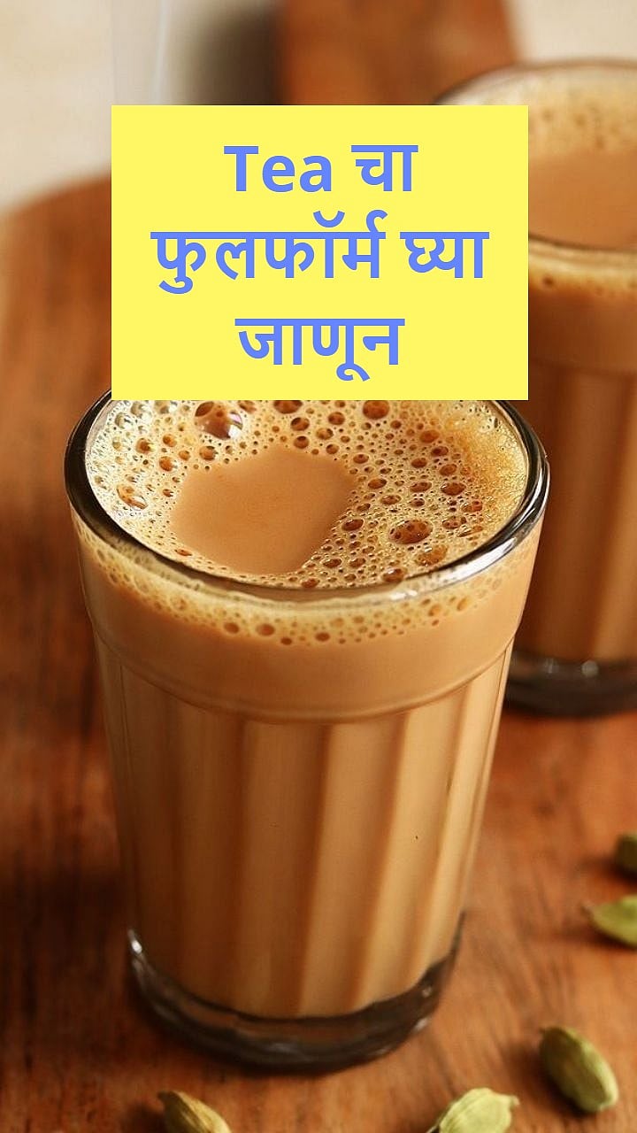 TEA चा फुलफॉर्म काय? चहा प्रेमींसाठी खास प्रश्न|what is full form of ...