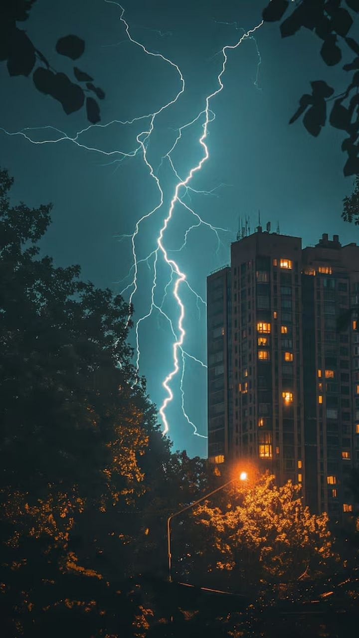 GK: वीज नेहमी झाडावर किंवा माणसांच्या अंगावरच का पडते? जाणून घ्या|why ...