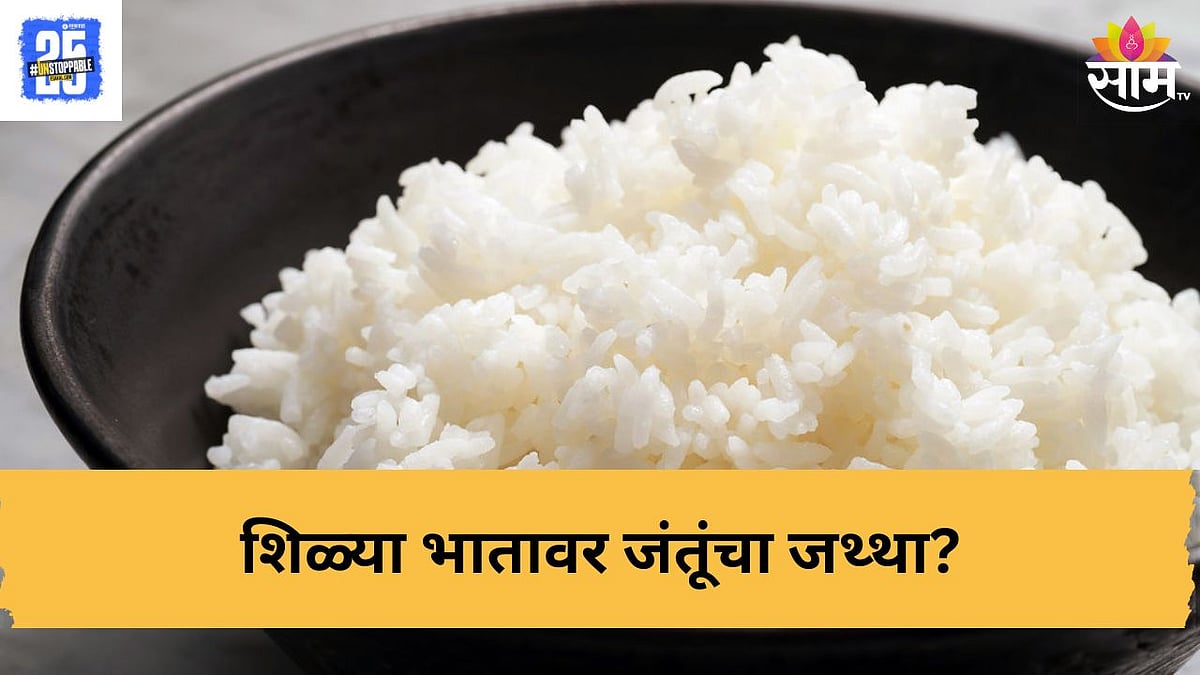 Health Tips: शिळा भात खाल तर आजारी पडाल? भातावर जंतूंचा जथ्था? काय आहे ...