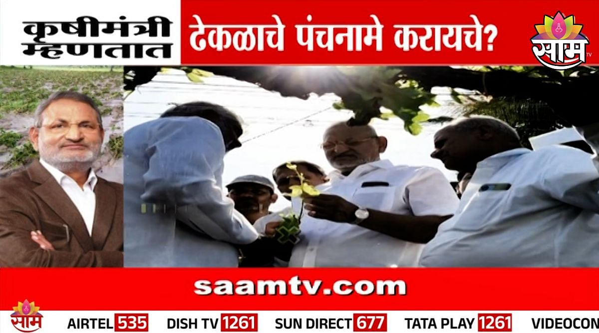 Manikrao Kokate : कृषीमंत्री म्हणतात, ढेकळाचे पंचनामे करायचे का ...