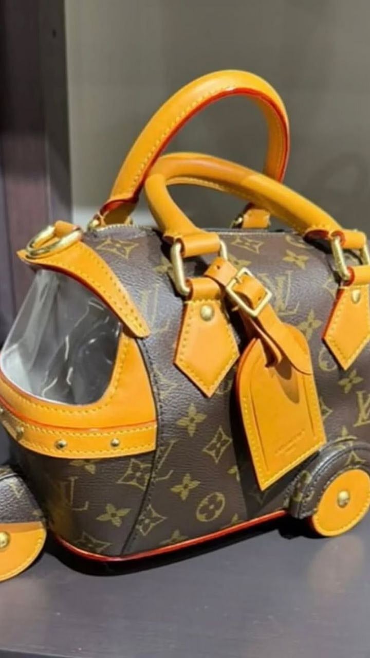 Auto Rickshaw Bag : बाजारात आलीये नवीन ऑटो रिक्षा बॅग, फॅशनचा नवा ...