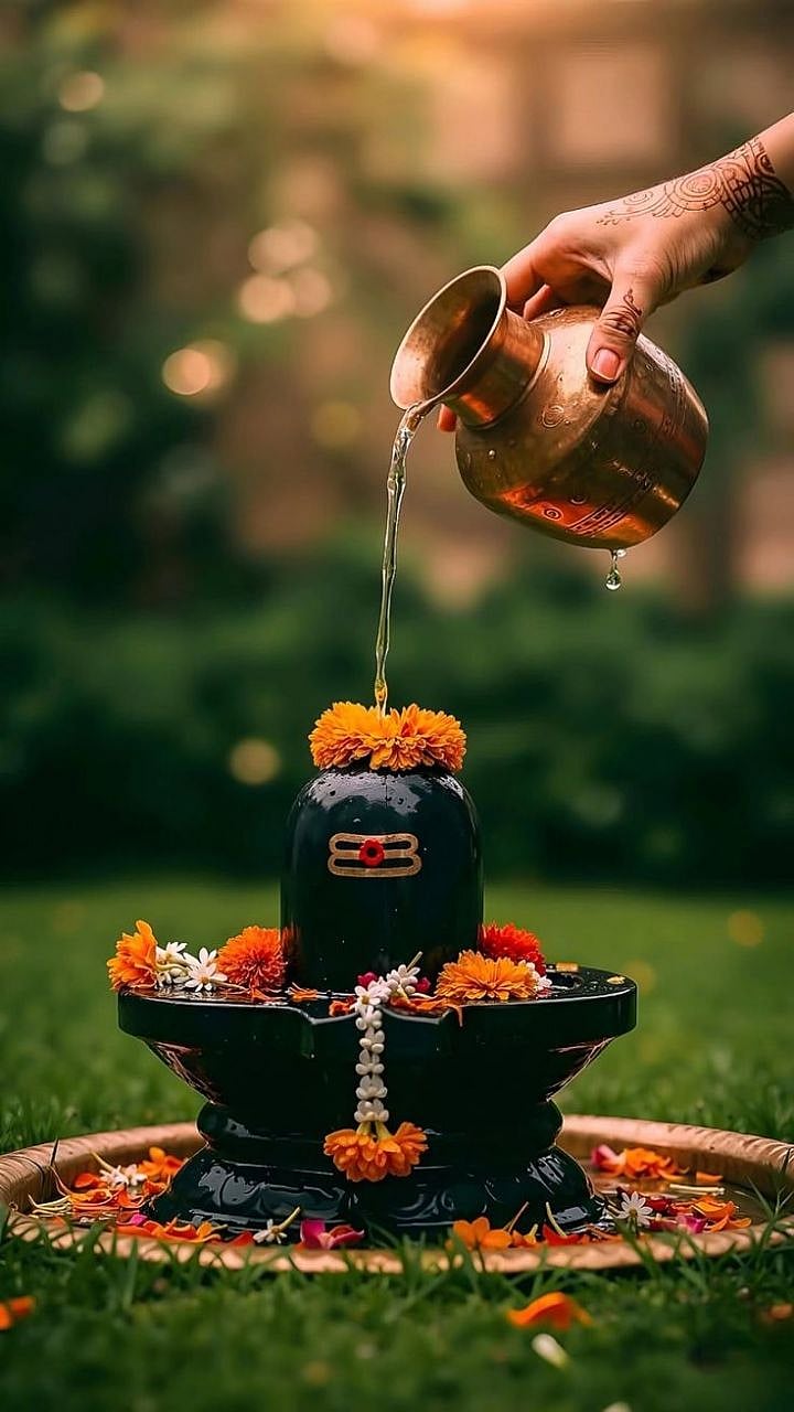 Vastu Shastra: घरात कोणत्या रंगाचे शिवलिंग ठेवणे शुभ? वाचा आध्यात्मिक ...