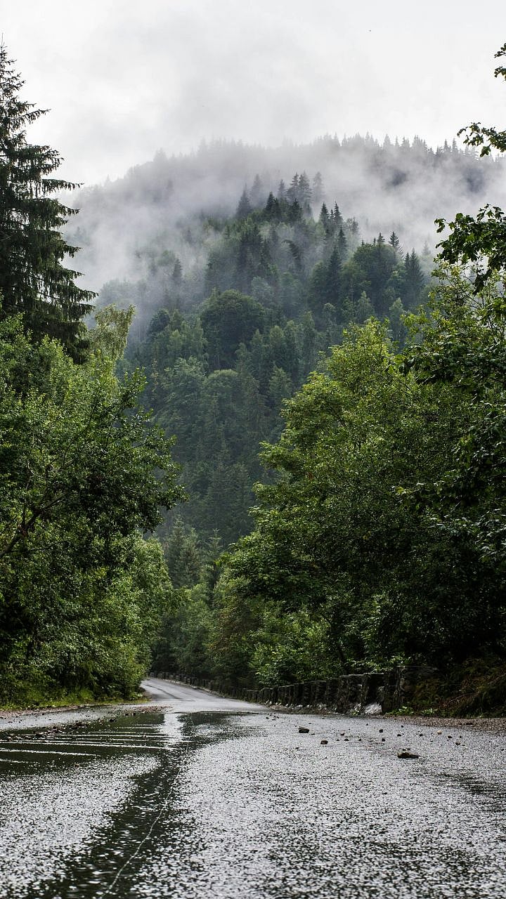 Immunity Power : पावसाळ्यामध्ये इम्यूनिटी कशी वाढवावी ? |how-to-boost ...