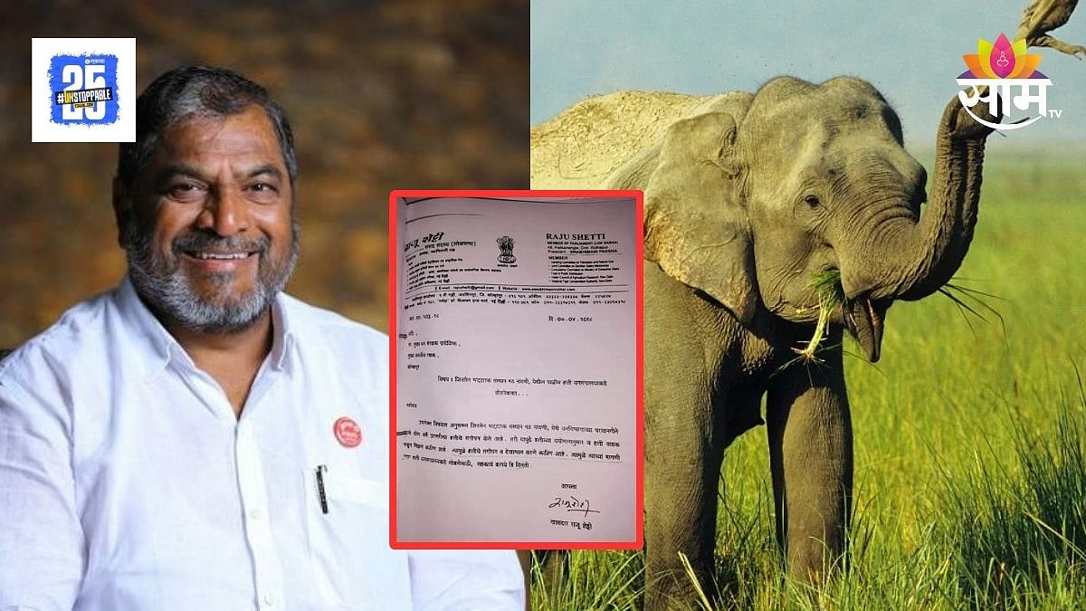 Madhuri Elephant : माधुरी हत्तीणीवरून राजकारण पेटलं; राजू शेट्टींचं ...