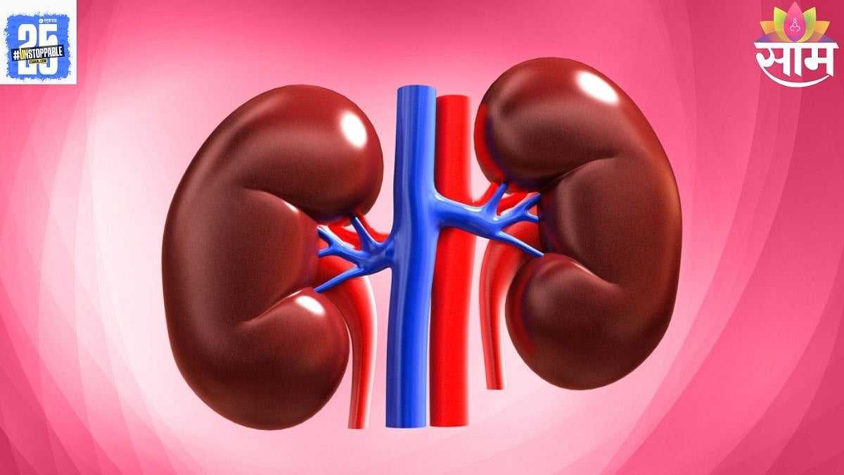Kidney Detox: आहारात या 4 पदार्थांचा करा समावेश, किडनी निकामी होण्याचं ...