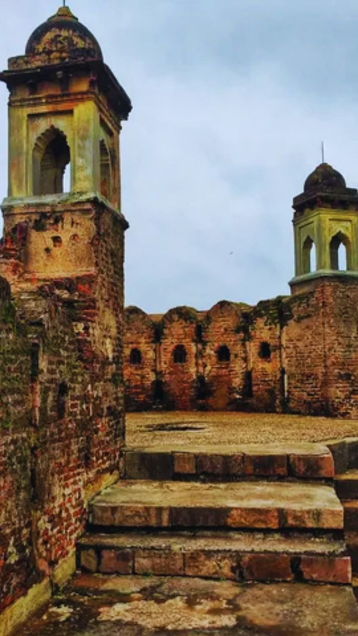 Bhandara Tourism : हिवाळ्यात-पावसाळ्यात ट्रेकिंगसाठी उत्तम आहे 'हा ...