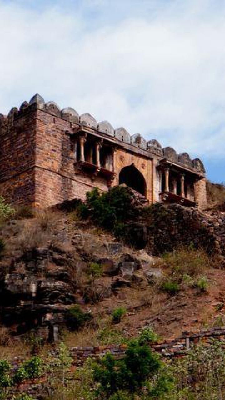 India Tourism : एखाद्या महालासारखा दिसतो भारतातील 'हा' किल्ला, ११व्या ...