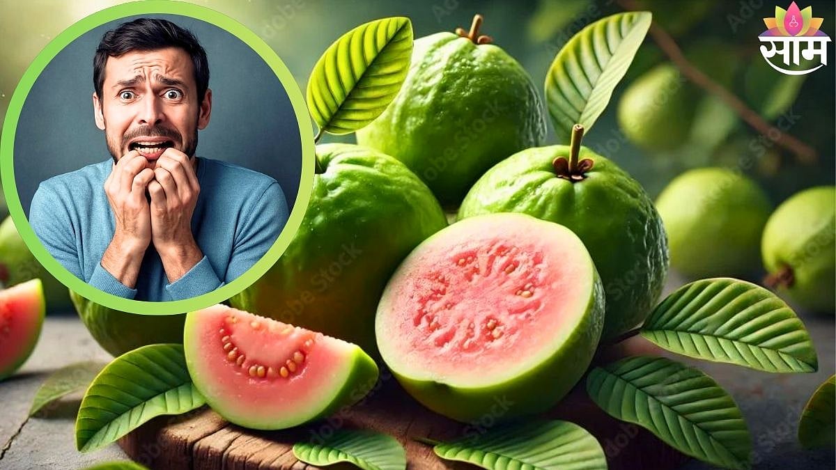 Guava Side Effects: पेरू खाणं या ४ 'रिस्की' गटातल्या लोकांसाठी ठरतंय ...