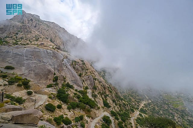 بنقوشها التاريخية والتنوع النباتي.. محمية جبل شدا الأعلى تمثل ظاهرة ...