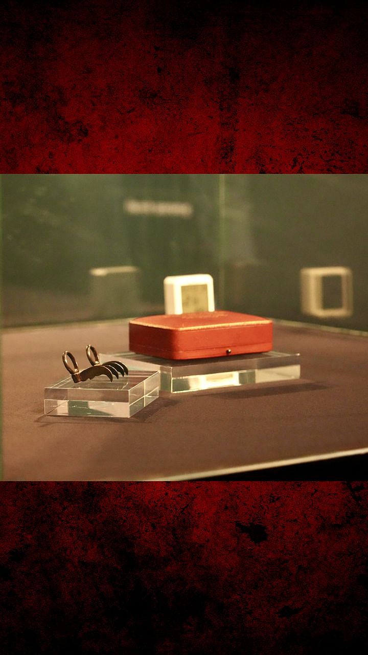 Shivaji Maharaj Wagh Nakh : शिवशस्त्रशौर्यगाथा! ...अखेर ज्याची आतुरता ...