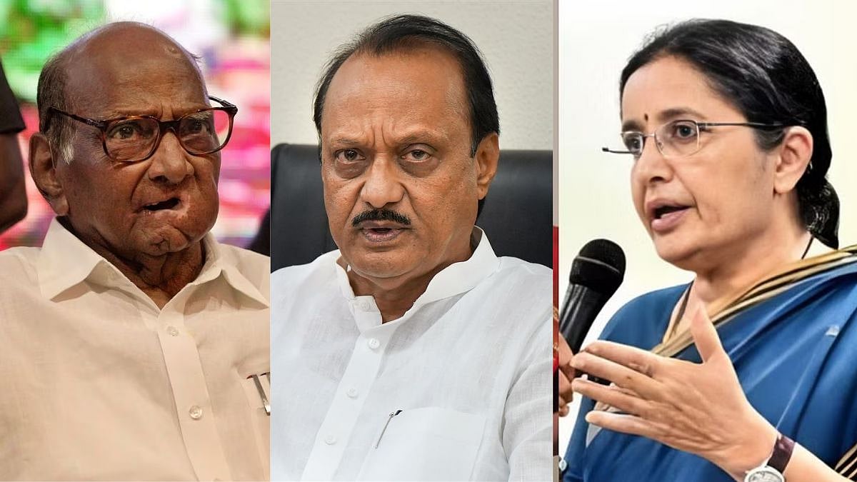 सगळं संपलेलं असताना पवारांना भेटायचं म्हणजे...''; विद्या चव्हाणांनी ...