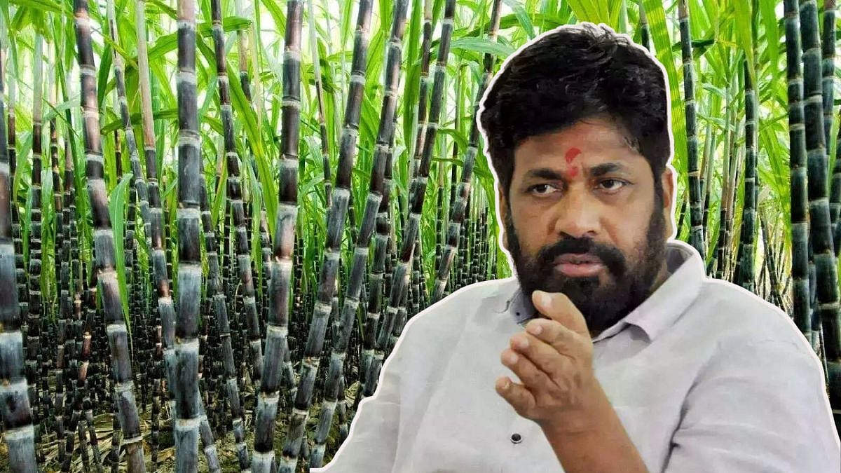 ऊस कारखानदारांना दणका देण्यासाठी आता बच्चू कडू नगरच्या साखरपट्यात ...