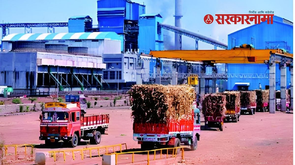 सोलापूरमध्ये ऊस दराची स्पर्धा; सिद्धेश्वर कारखाना देणार 3200 रुपयांचा ...