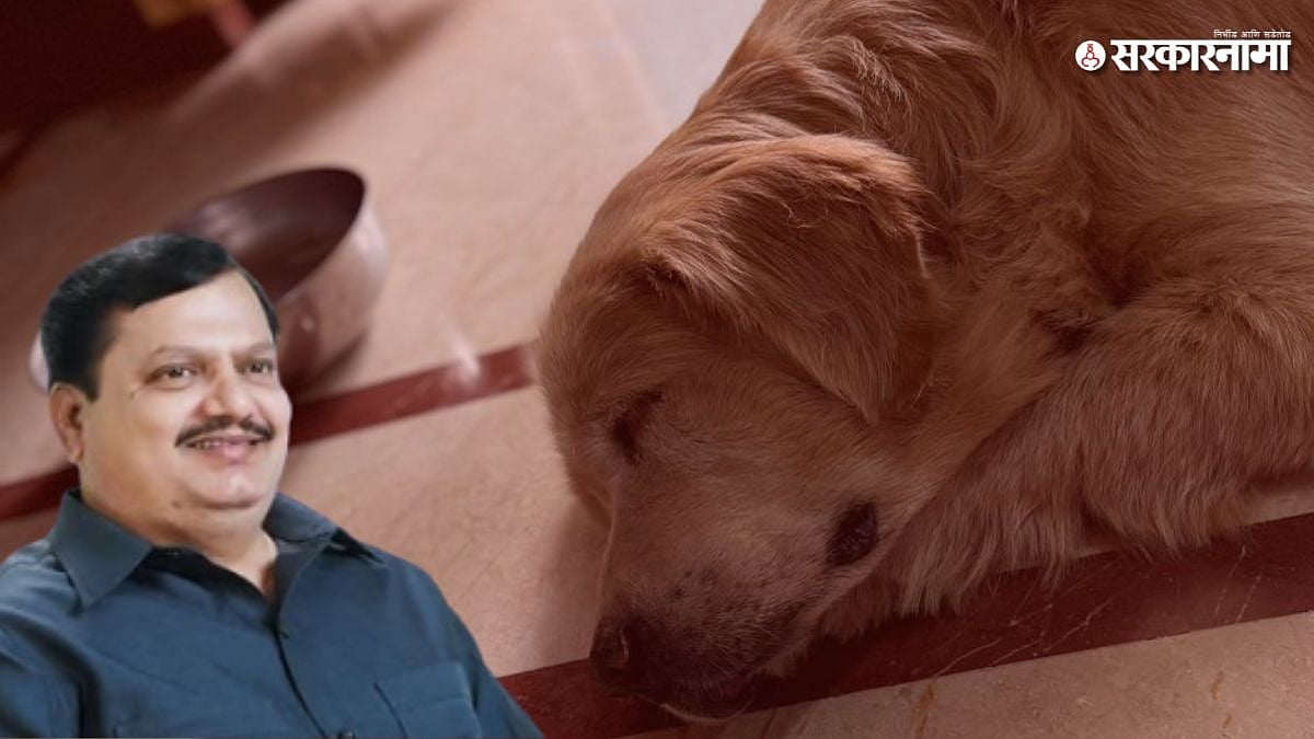 P.N.Patil News पी. एन. पाटलांच्या जाण्याचा धसका; लाडक्या 'ब्रुनो'नेही ...