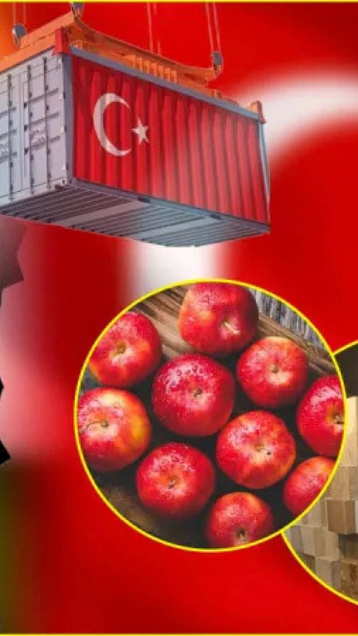 Turkish Product in India : भारतामध्ये विकल्या जाणाऱ्या तुर्कीच्या टॉप 5 ...