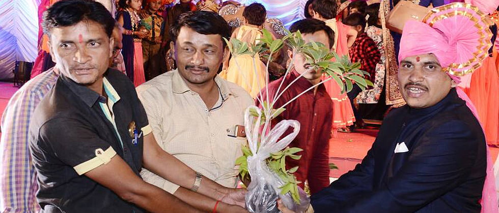 लग्नसमारंभात फळरोपे देवून दिला पर्यावरण संदेश.. | Sarkarnama